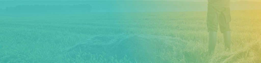 Land Purchase Due Diligence Checklist | Orbis